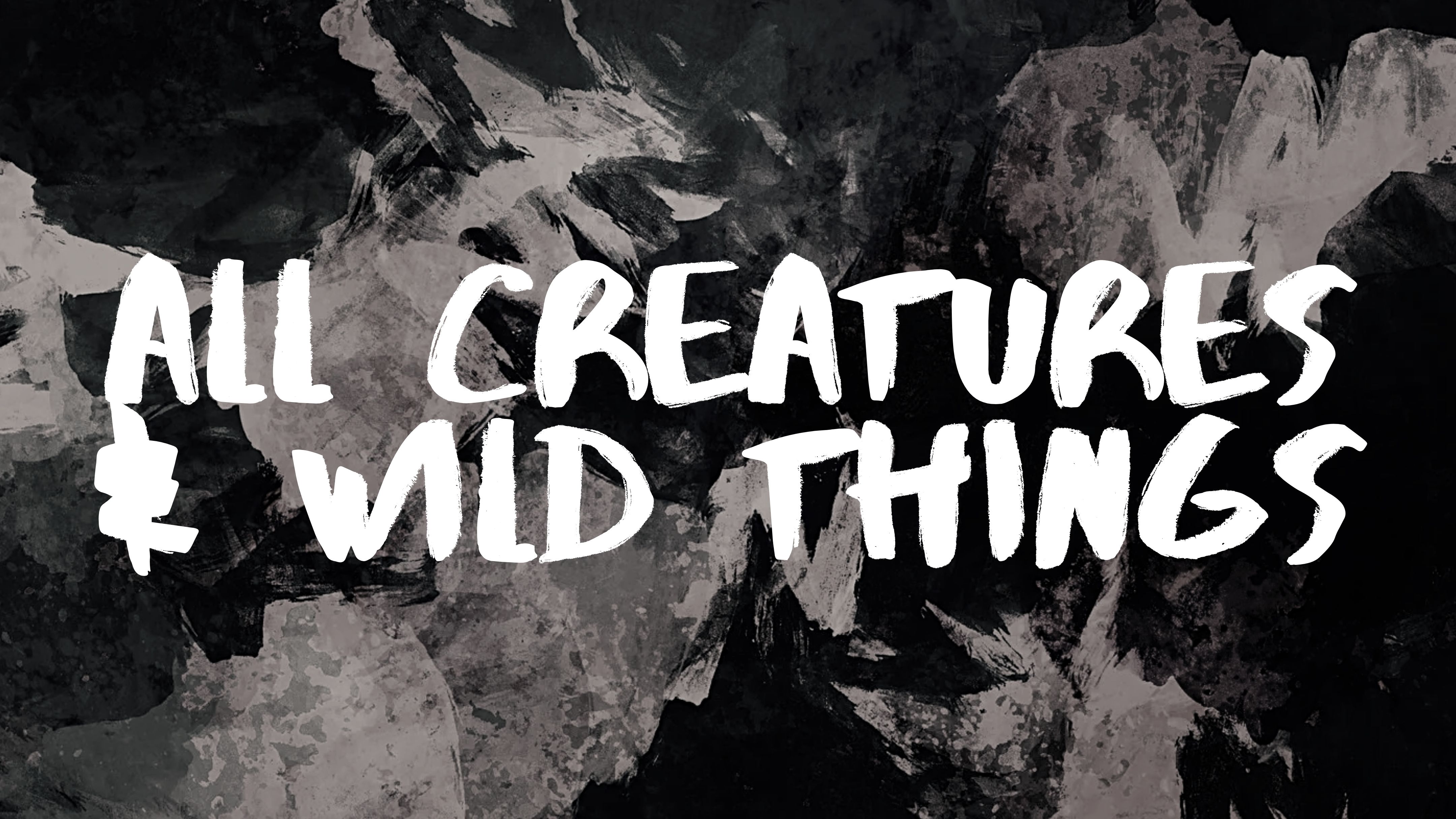 All Creatures & Wild Things - Art Prizes Planner - Discovery Media